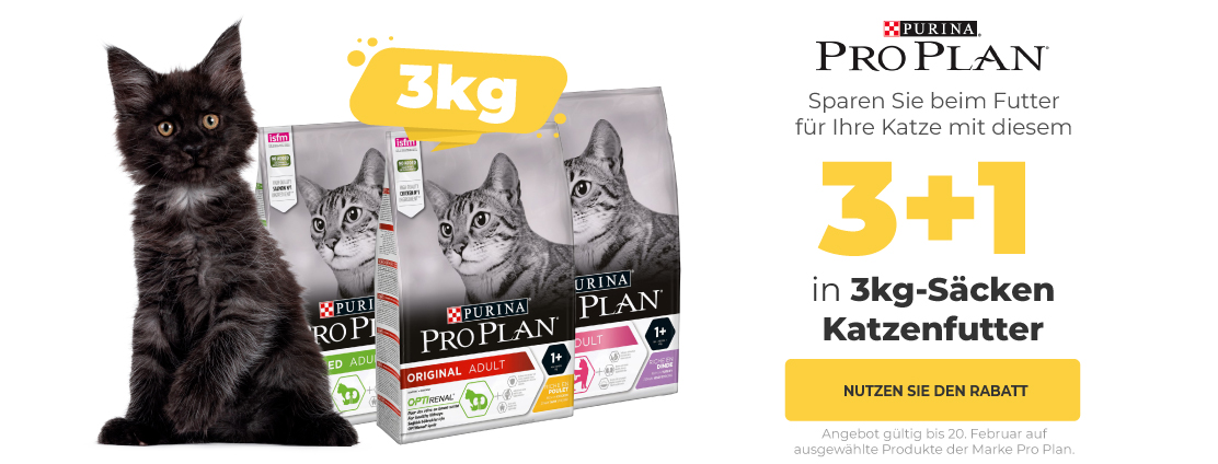 Online-Shop für Haustierbedarf - Miscota