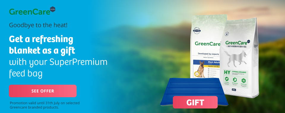 Dry food for dogs and dry food for cats - Miscota