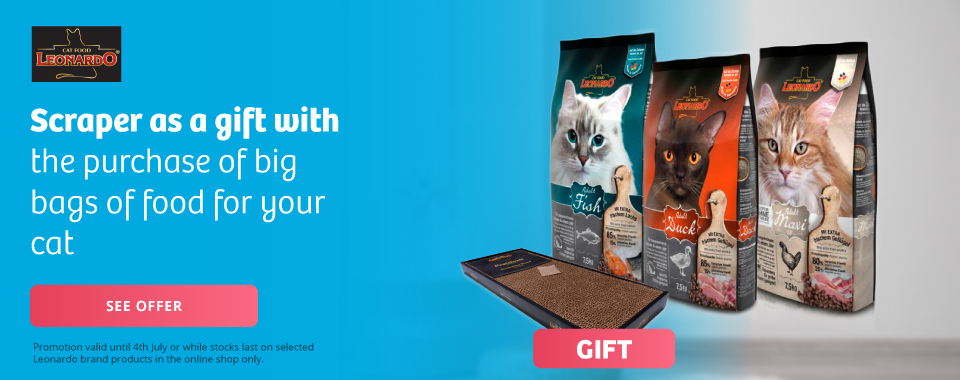 Dry food for dogs and dry food for cats - Miscota