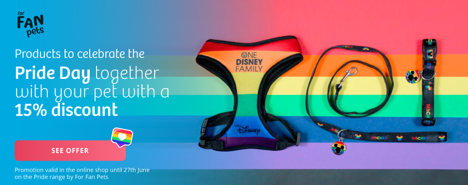 Dry food for dogs and dry food for cats - Miscota