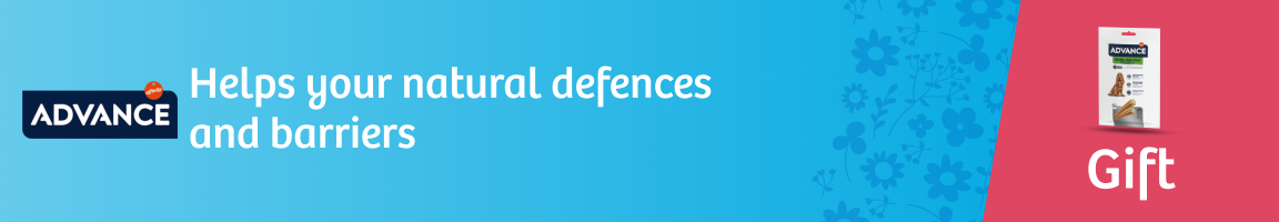 Food for Dogs, shop for food and accessories for dogs - Miscota