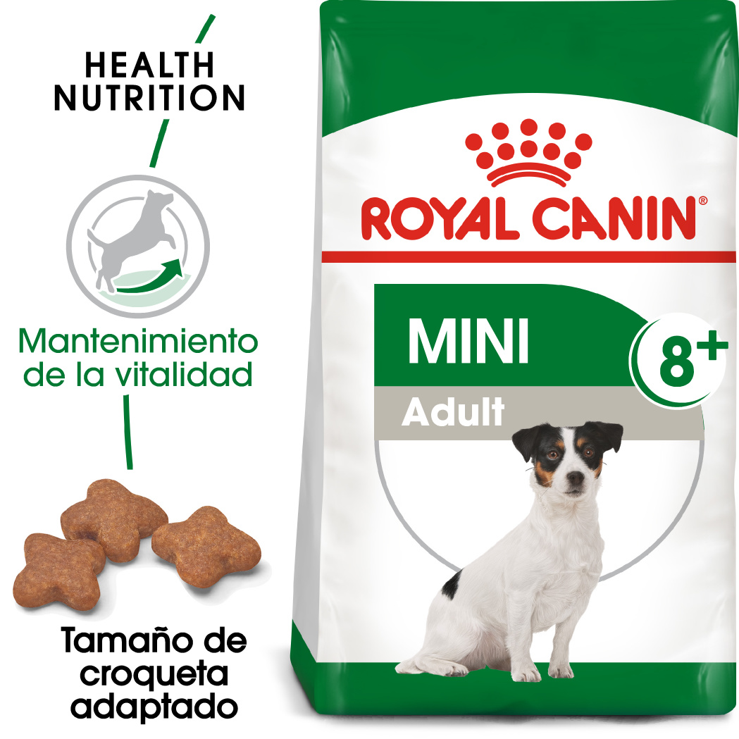 Royal Canin Mini Adult 8+Croquettes pour chiens seniors de petite race ...