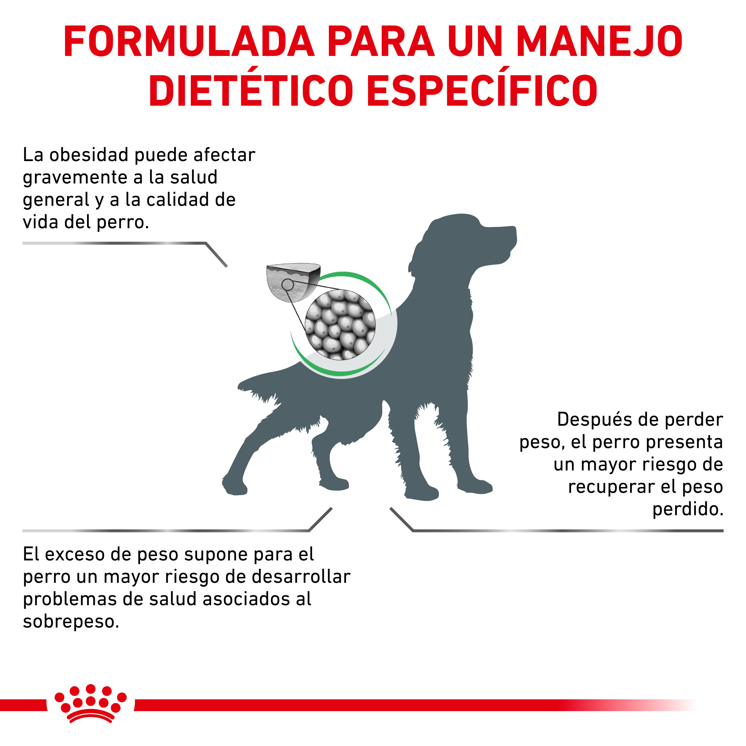Royal Canin Pienso Satiety Weight Management Canine - Miscota España