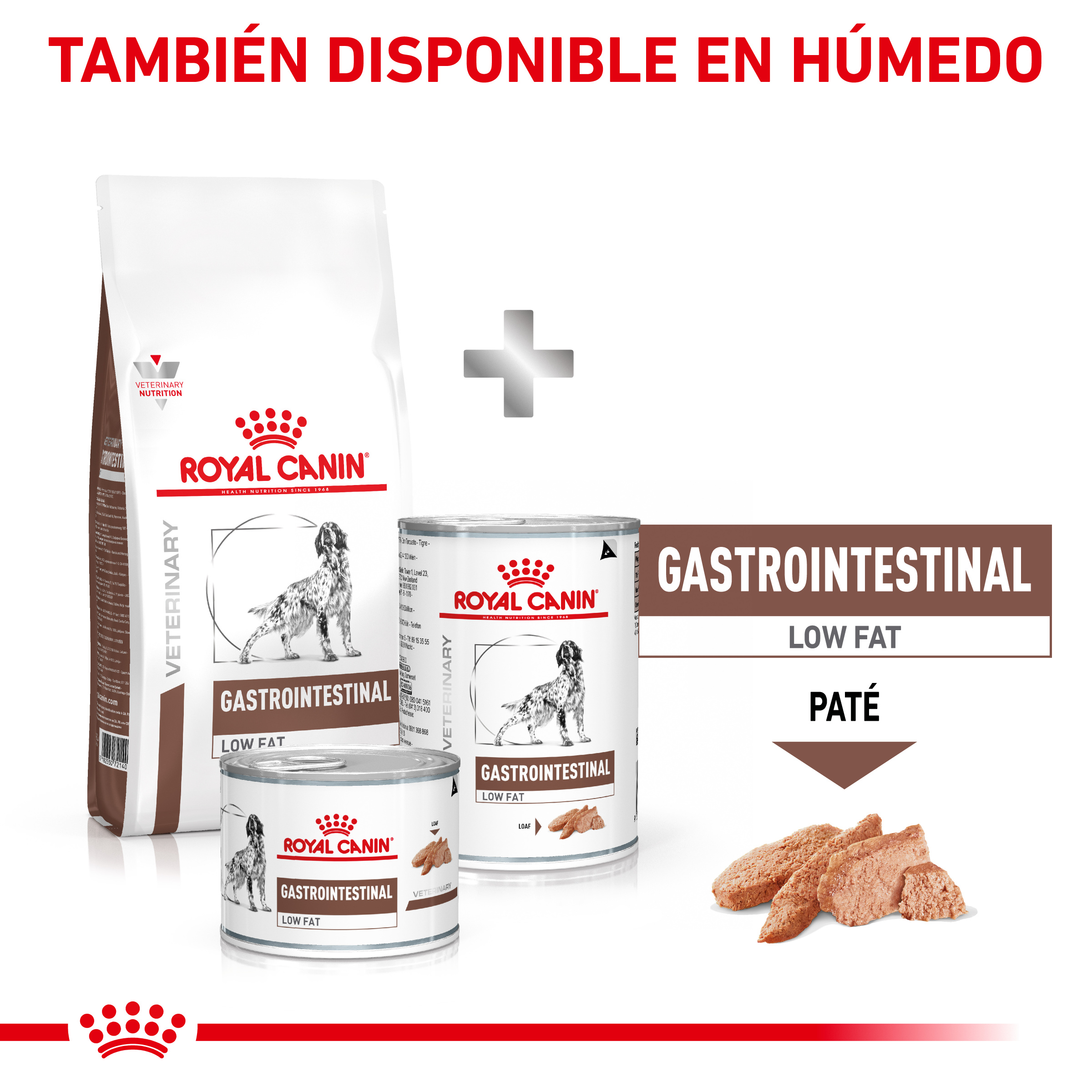 Royal Canin Royal Canin Cibo Secco per Cani Gastro Intestinal Low Fat ...