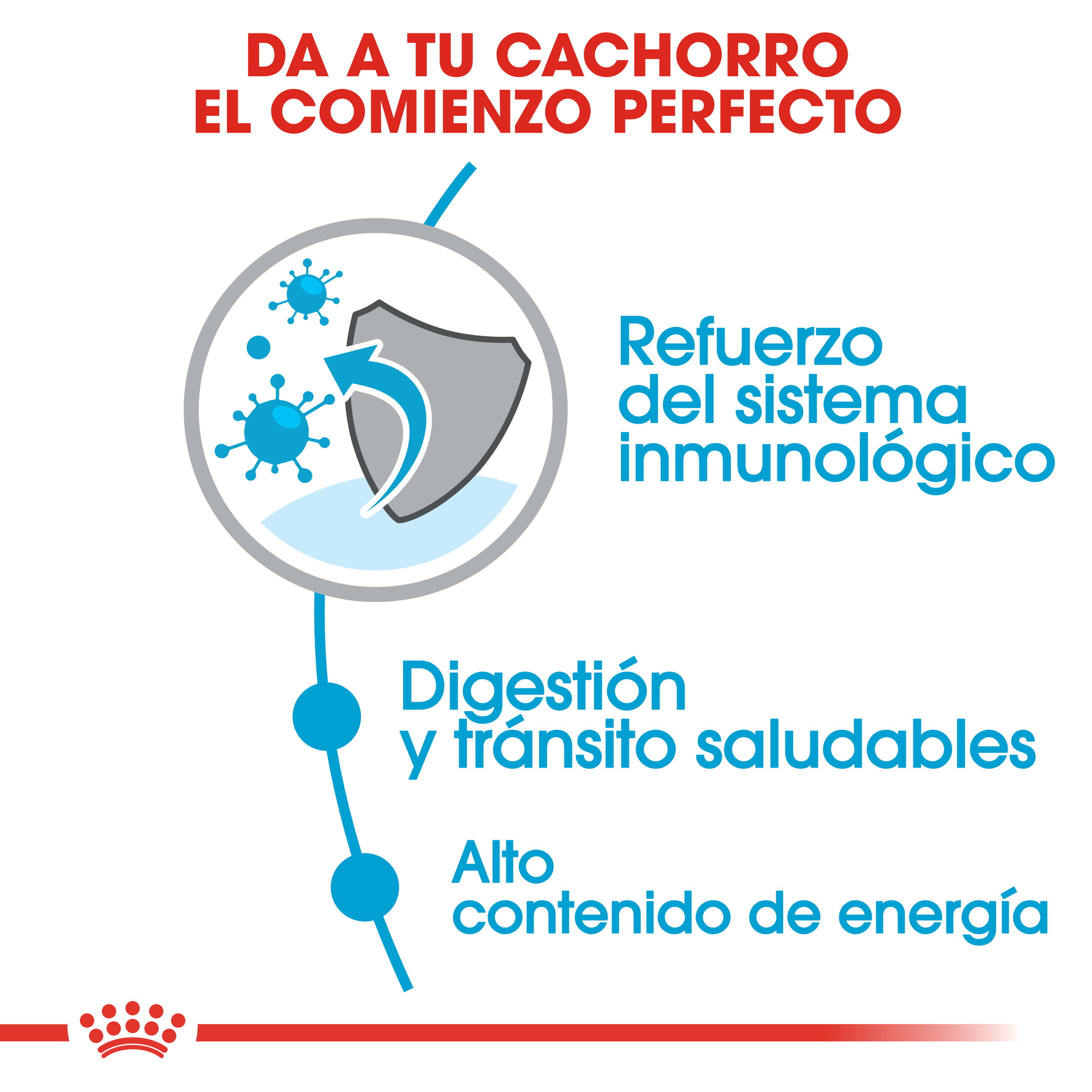 Royal Canin X-Small Puppy Pienso para Cachorros de Razas Tamaño ...