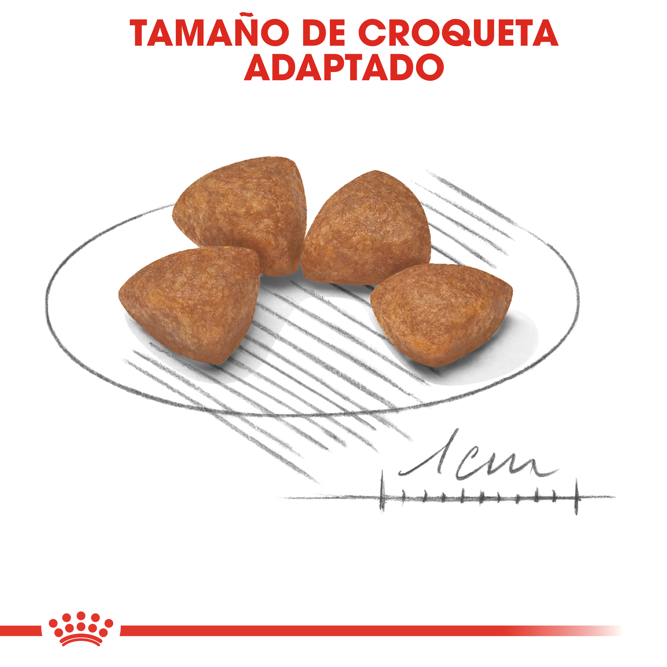 Royal Canin X-Small Puppy Pienso para Cachorros de Razas Tamaño ...