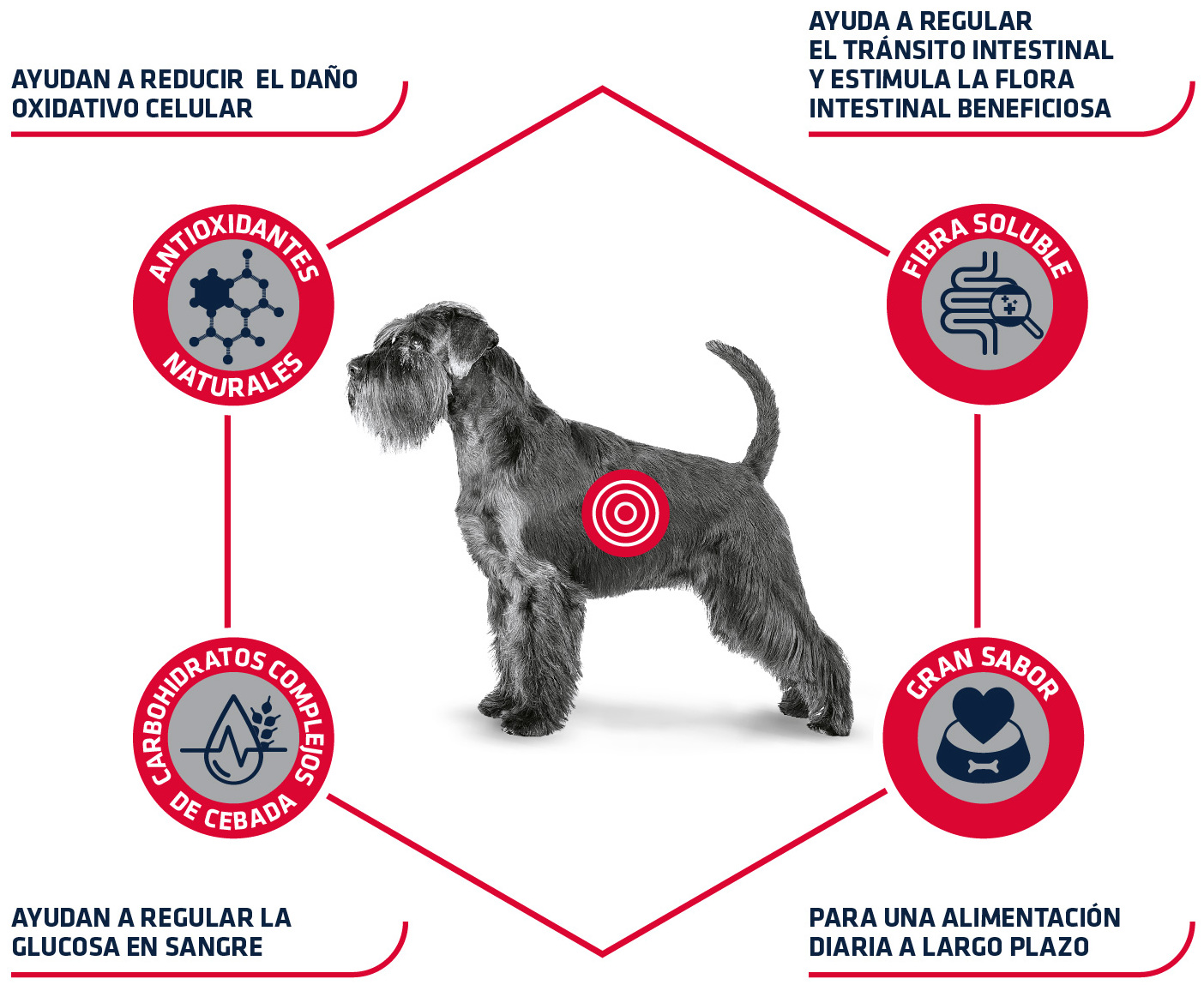 Advance Pienso Diabetes y Colitis para Perro Adulto - Miscota España