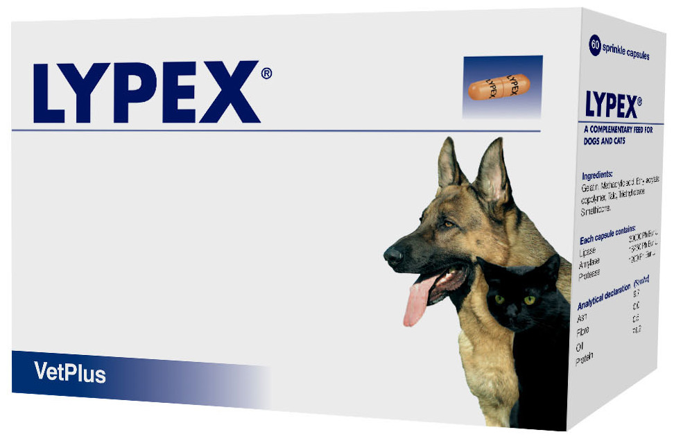 VetPlus Lypex pour les Problèmes de Pancréas chez les Chiens et les ...