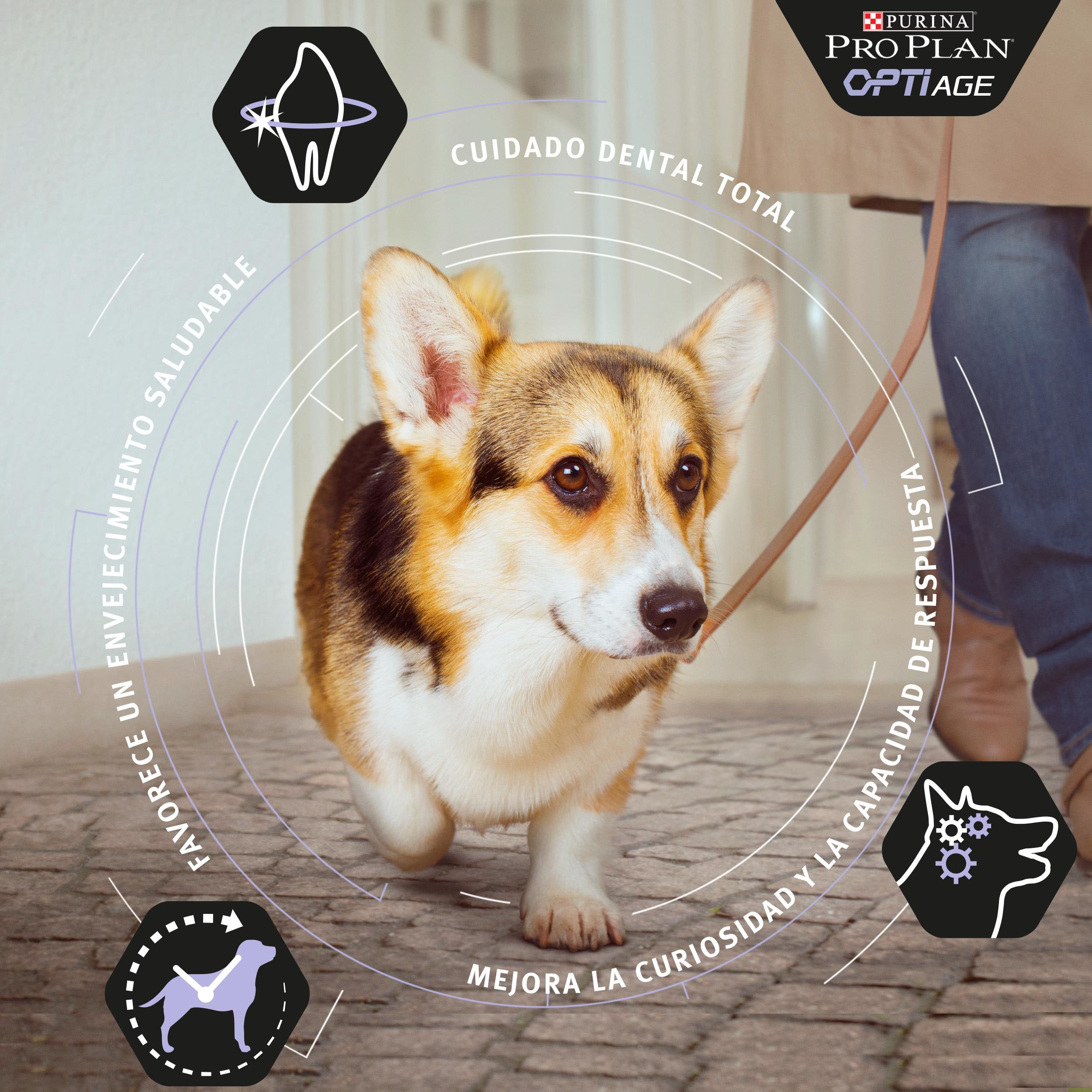 Purina Pro Plan Optiage Adult 7+ de Pollo Medium/Large - Miscota España