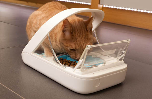 Sure Petcare Surefeed Feeder with Microchip - Miscota United States of ...