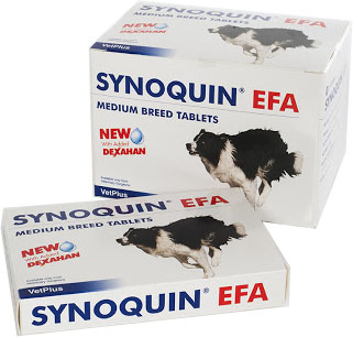 VetPlus Synoquin Joint Chondroprotector per cani medi in compresse ...