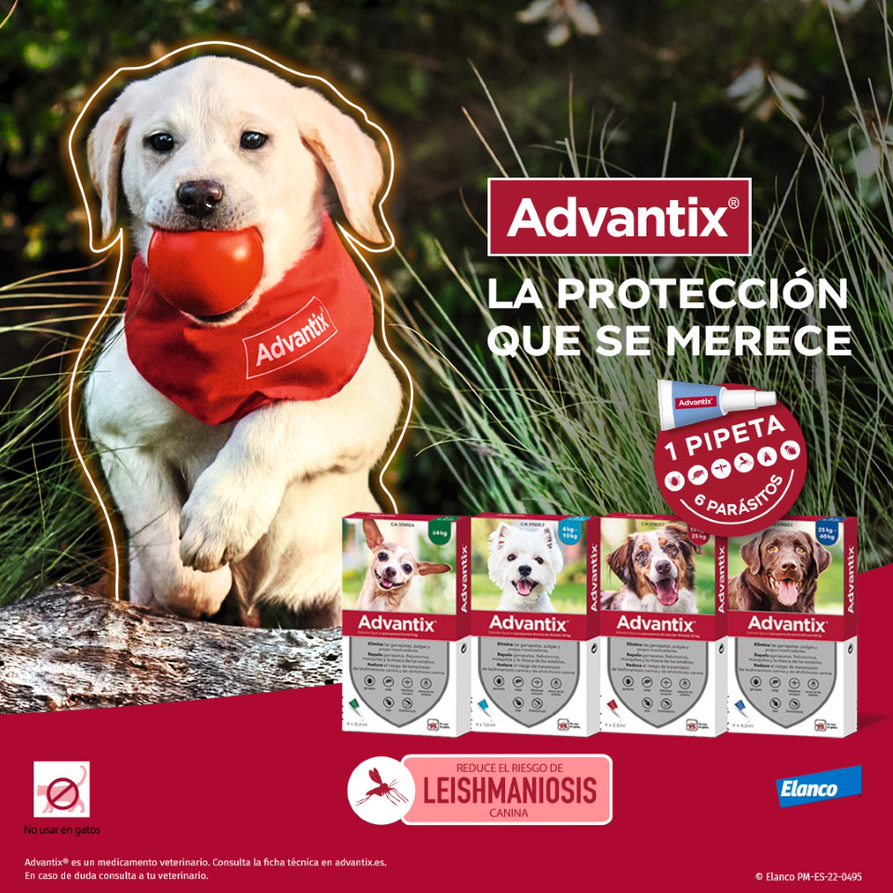 Advantix Pipetas Spot On para Perro de más de 25 Kg - Miscota España