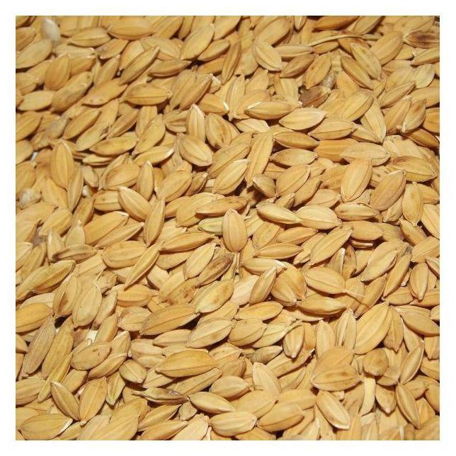 Tyrol Arroz com Casca - Miscota Portugal