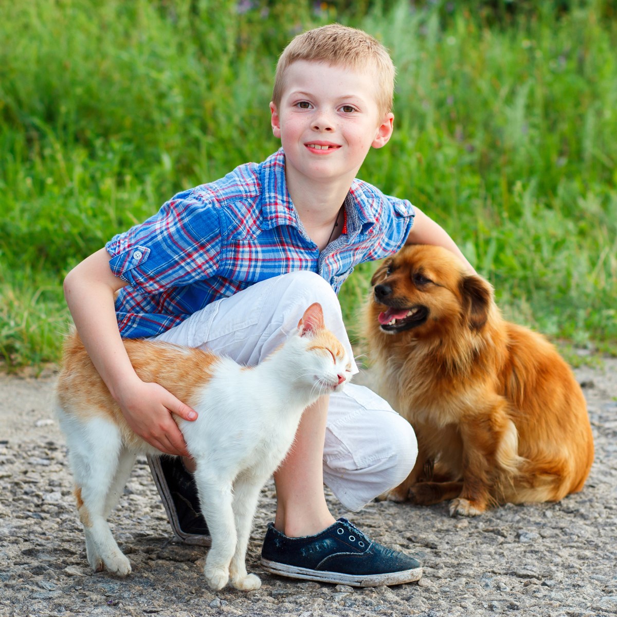 JTPharma Derm Pharma para Cães e Gatos 60 Comprimidos - Miscota Portugal