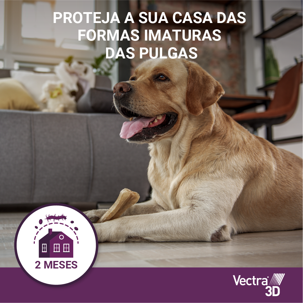 Vectra 3D Pipetas Antiparasitárias para Cães com + 40 kg - Miscota Portugal