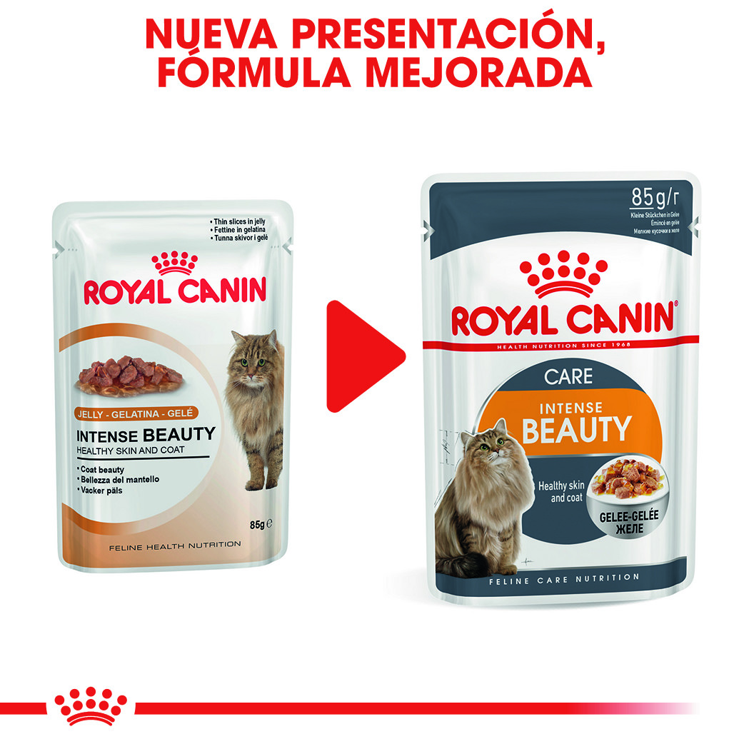 Royal Canin Intense Beauty en Salsa para Cuidado de Piel y Pelaje en ...