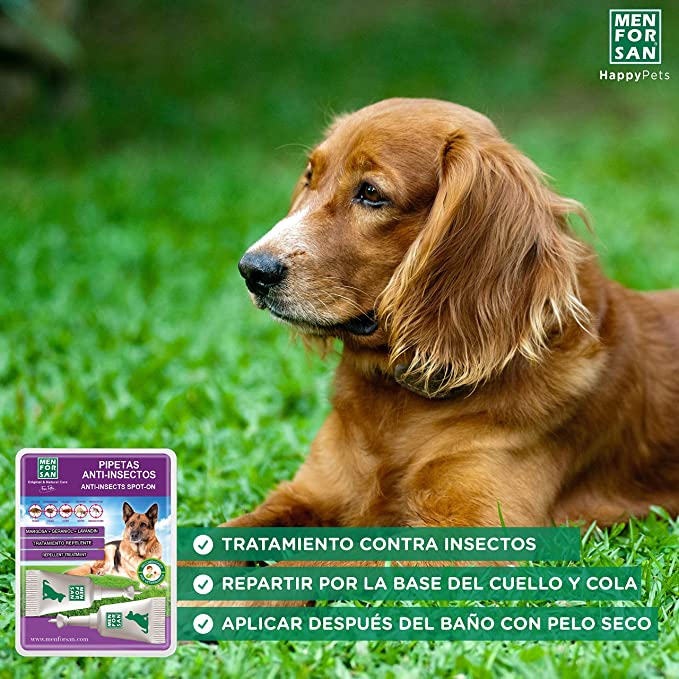 Men For San Pipetas Anti-insectos para Perros con Margosa, Geraniol y ...