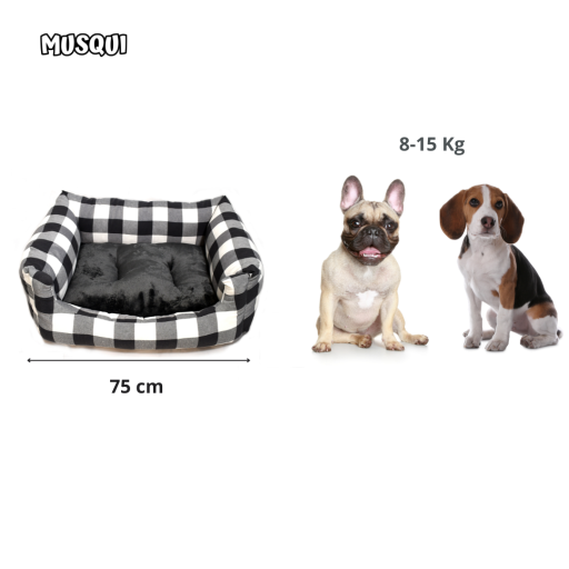 Dry food for dogs and dry food for cats - Miscota