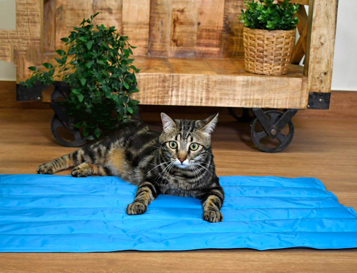 Musqui Manta Refrescante Cool Mat Azul Light para Perros y Gatos ...