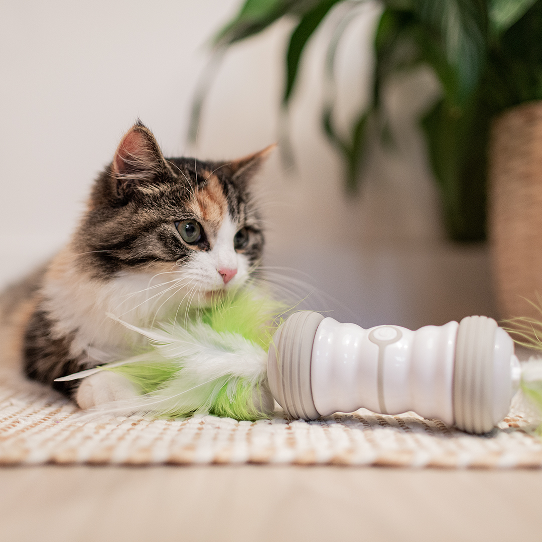 Ebi Juguete Spinner Interactivo Electrónico para Gato - Miscota España