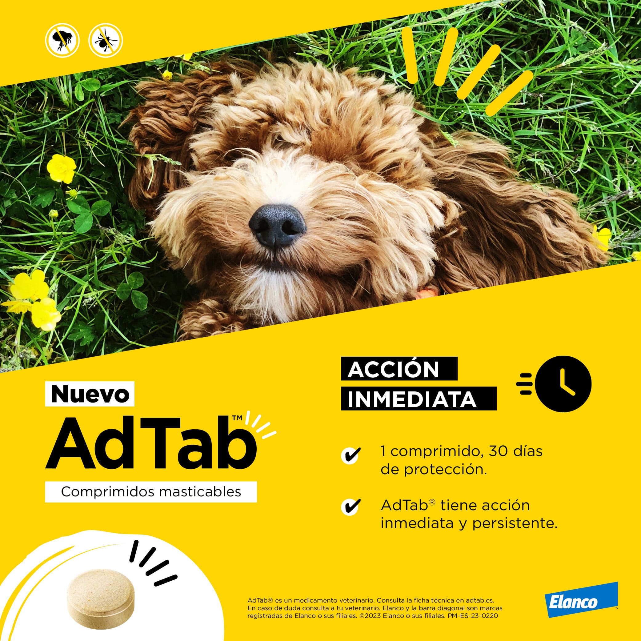 AdTab AdTab Antiparasitário Mastigável 450 mg para Cães (> 11-22 kg ...