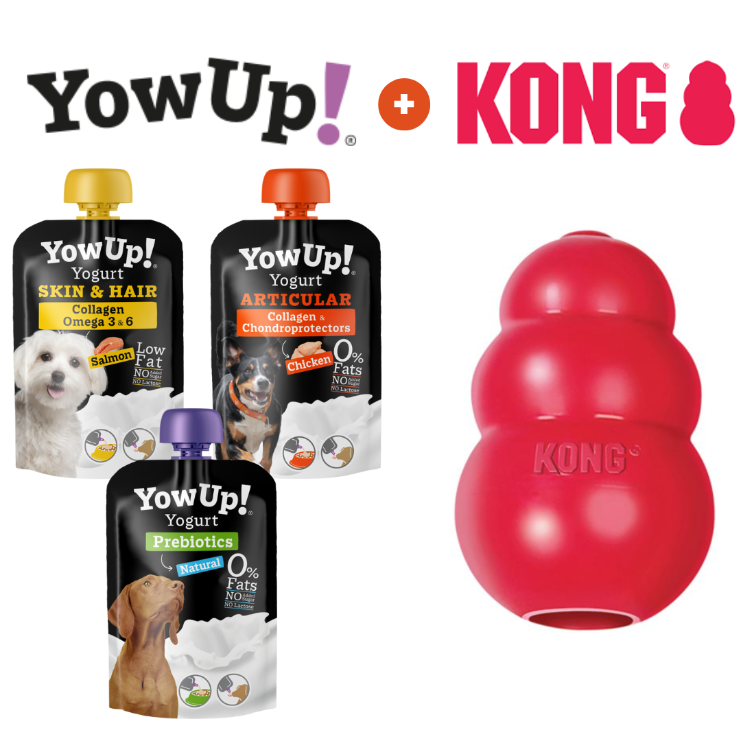 Yowup Pack Kit Helado Refresca Tu Verano: 3 Yow Up + 1 Kong Classic ...