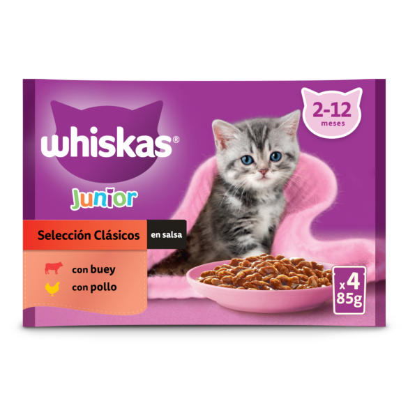 Whiskas Comida Húmeda Selección Clásica Junior para Gatitos - Miscota ...