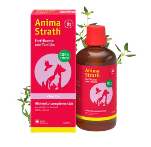 Anima Strath Elixir Fortificante para Todos os Animais, com Tomilho ...