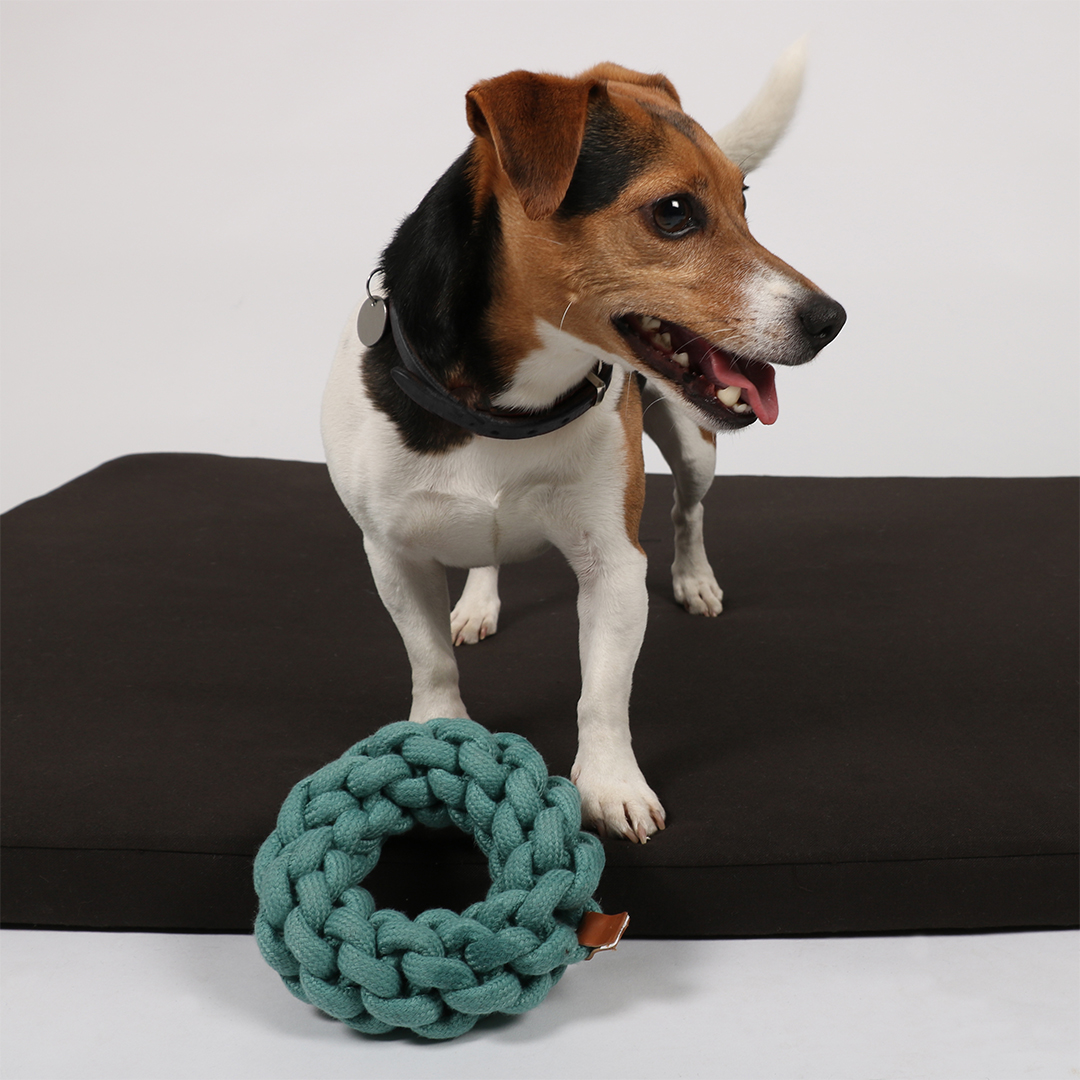 D&D Mordedor Ben Anillo de Cuerda Trenzada para Perros - Miscota España