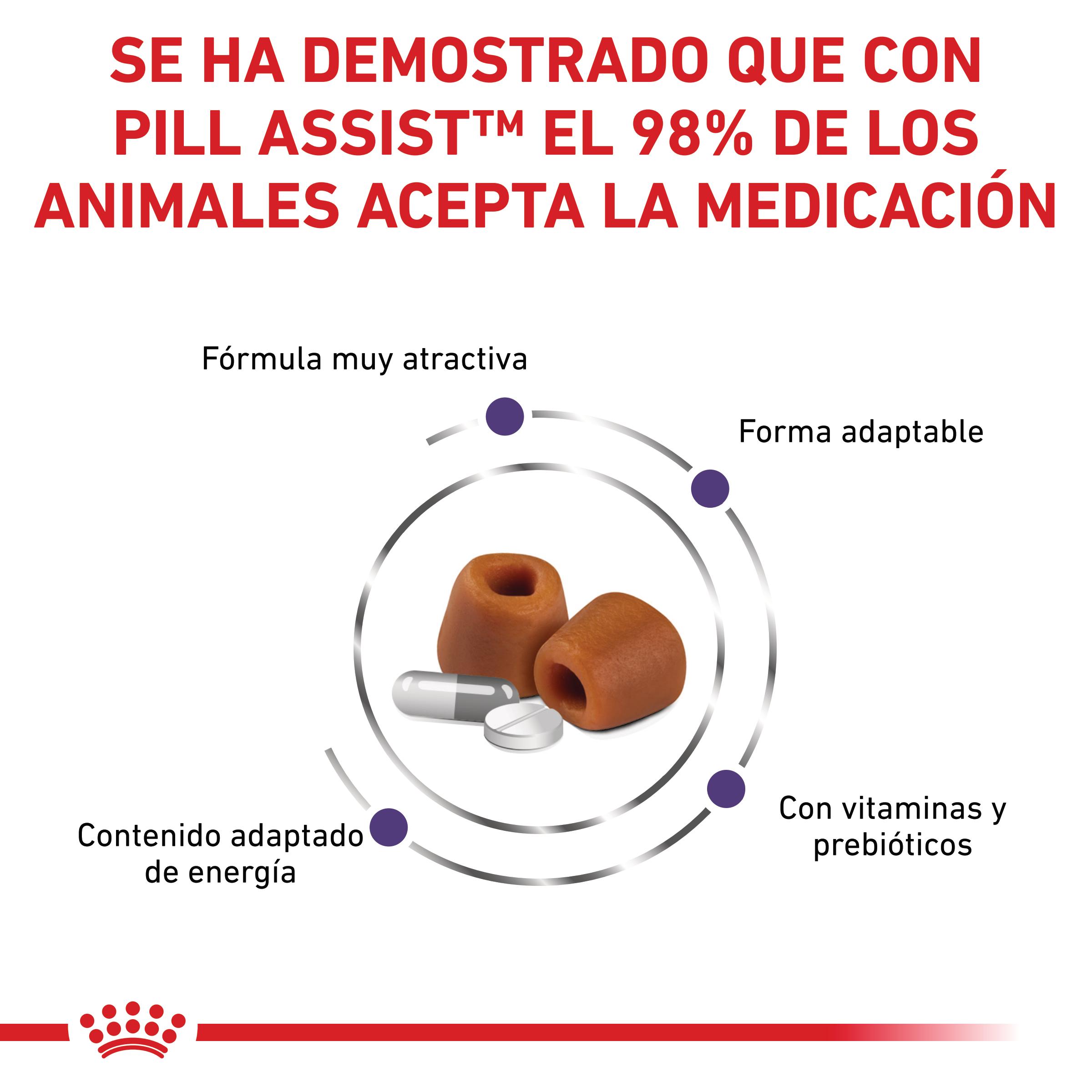 Royal Canin Pill Assist para Perros Pequeños - Miscota España